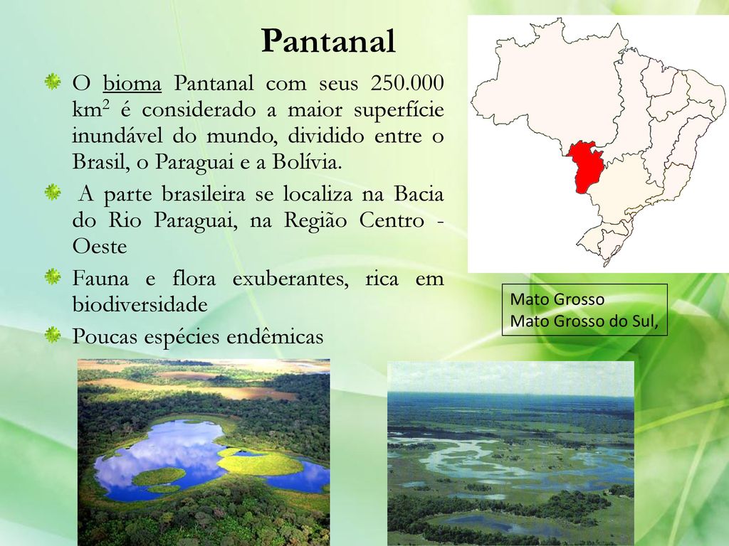 Biomas Brasileiros Ppt Carregar