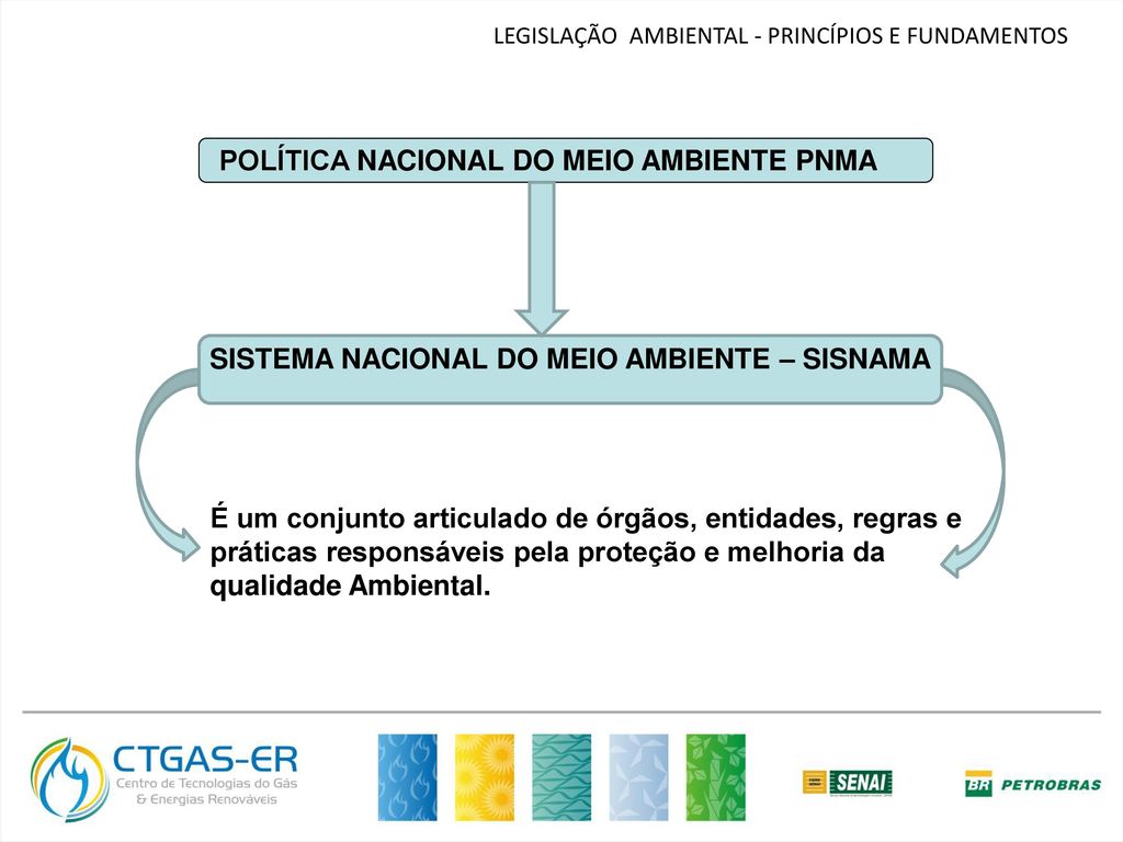 Lei 6938 81 Pnma Política Nacional De Meio Ambiente Dicas De Lei
